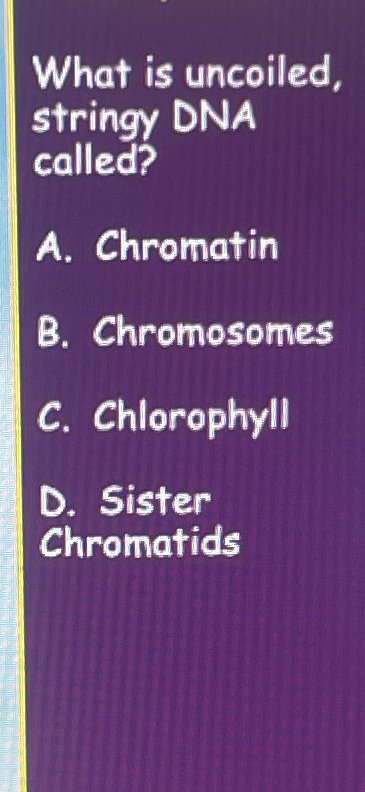 Solved What is uncoiled, stringy DNA called?A. ﻿ChromatinB. | Chegg.com