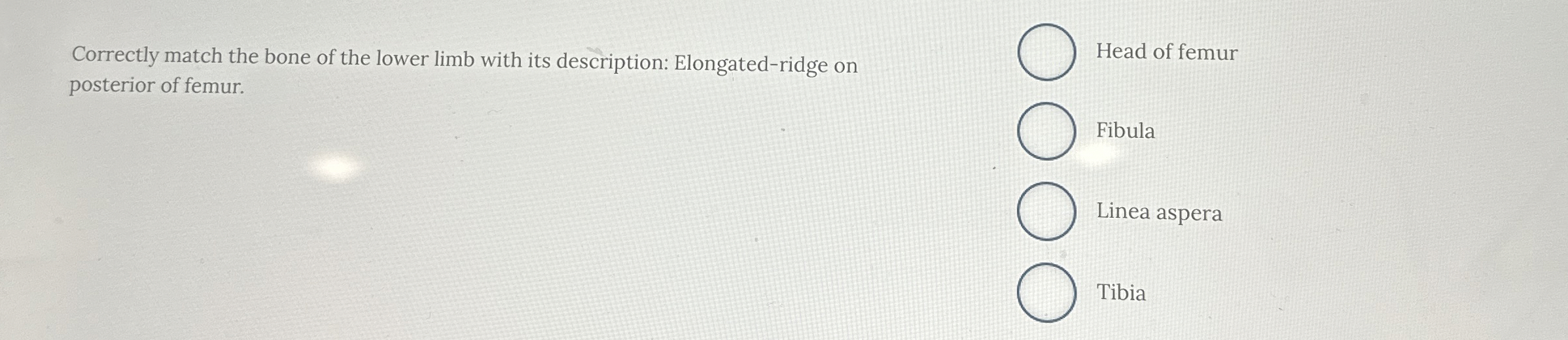 Solved Correctly match the bone of the lower limb with its | Chegg.com