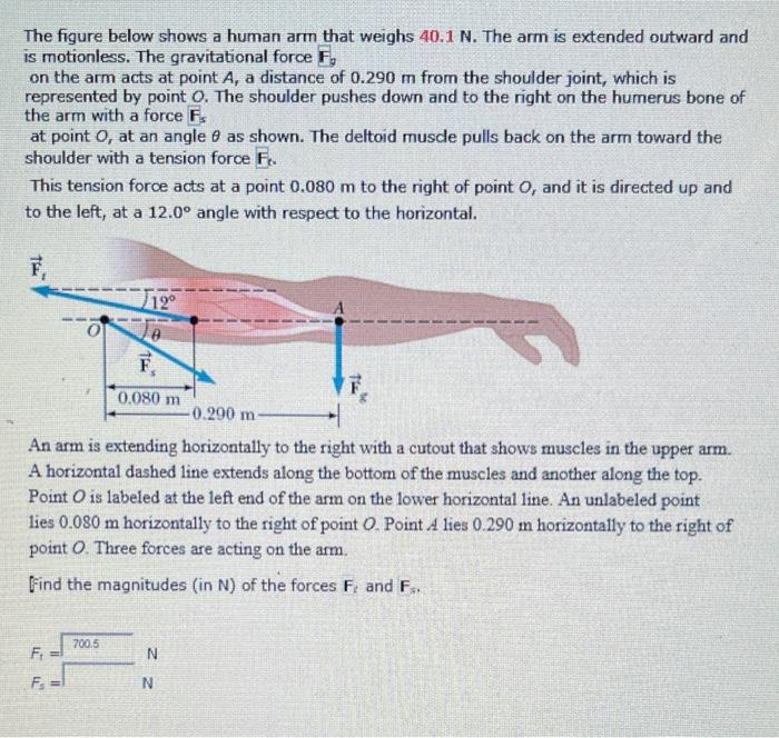 Solved The figure below shows a human arm that weighs 40.1 | Chegg.com