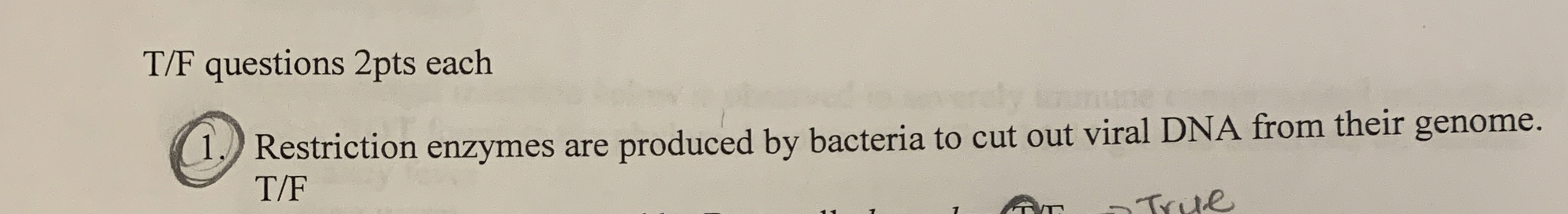 Solved T/F questions 2 ﻿pts eachRestriction enzymes are | Chegg.com