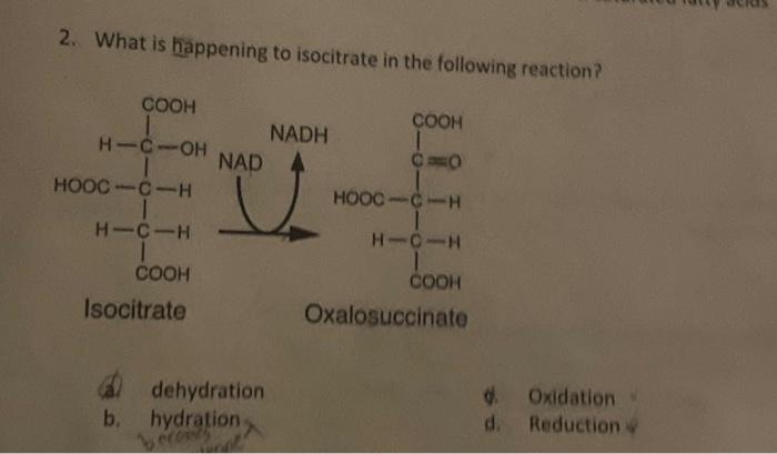 Solved 2. What is happening to isocitrate in the following | Chegg.com