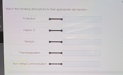 Solved Match the following descriptions to their appropriate | Chegg.com