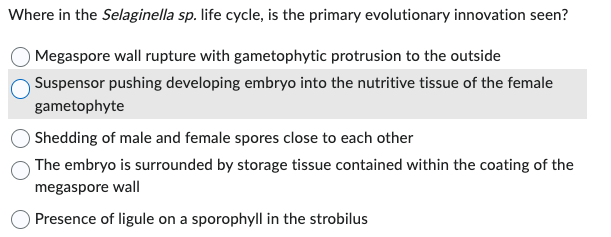 Solved Where in the Selaginella sp. ﻿life cycle, is the | Chegg.com