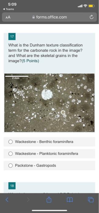 Solved 17 What is the Dunham texture classification term for | Chegg.com