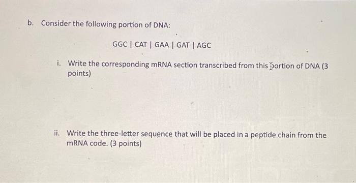 Solved b. Consider the following portion of DNA: GGC | CAT | | Chegg.com