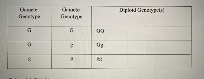 Diploid Genotype(s) Gamete Genotype Gamete Genotype G | Chegg.com