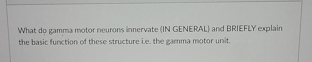 Solved What do gamma motor neurons innervate (IN GENERAL) | Chegg.com