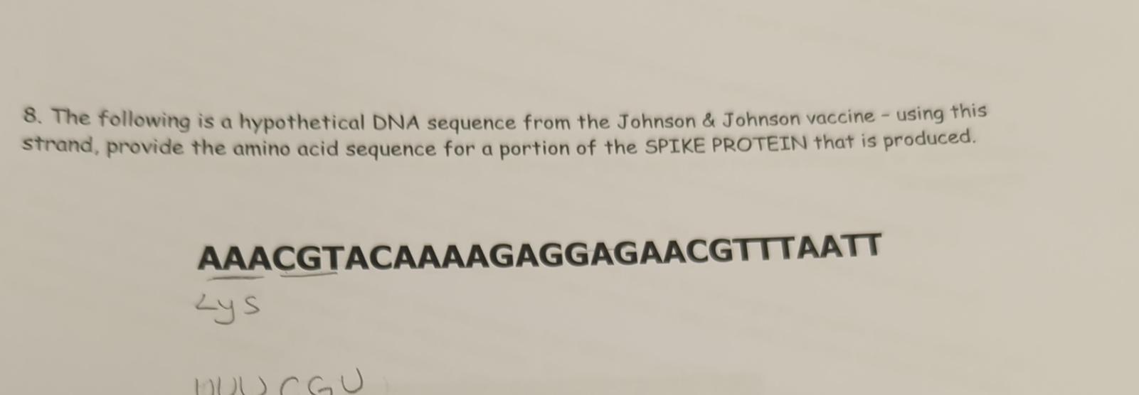 Solved The following is a hypothetical DNA sequence from the | Chegg.com