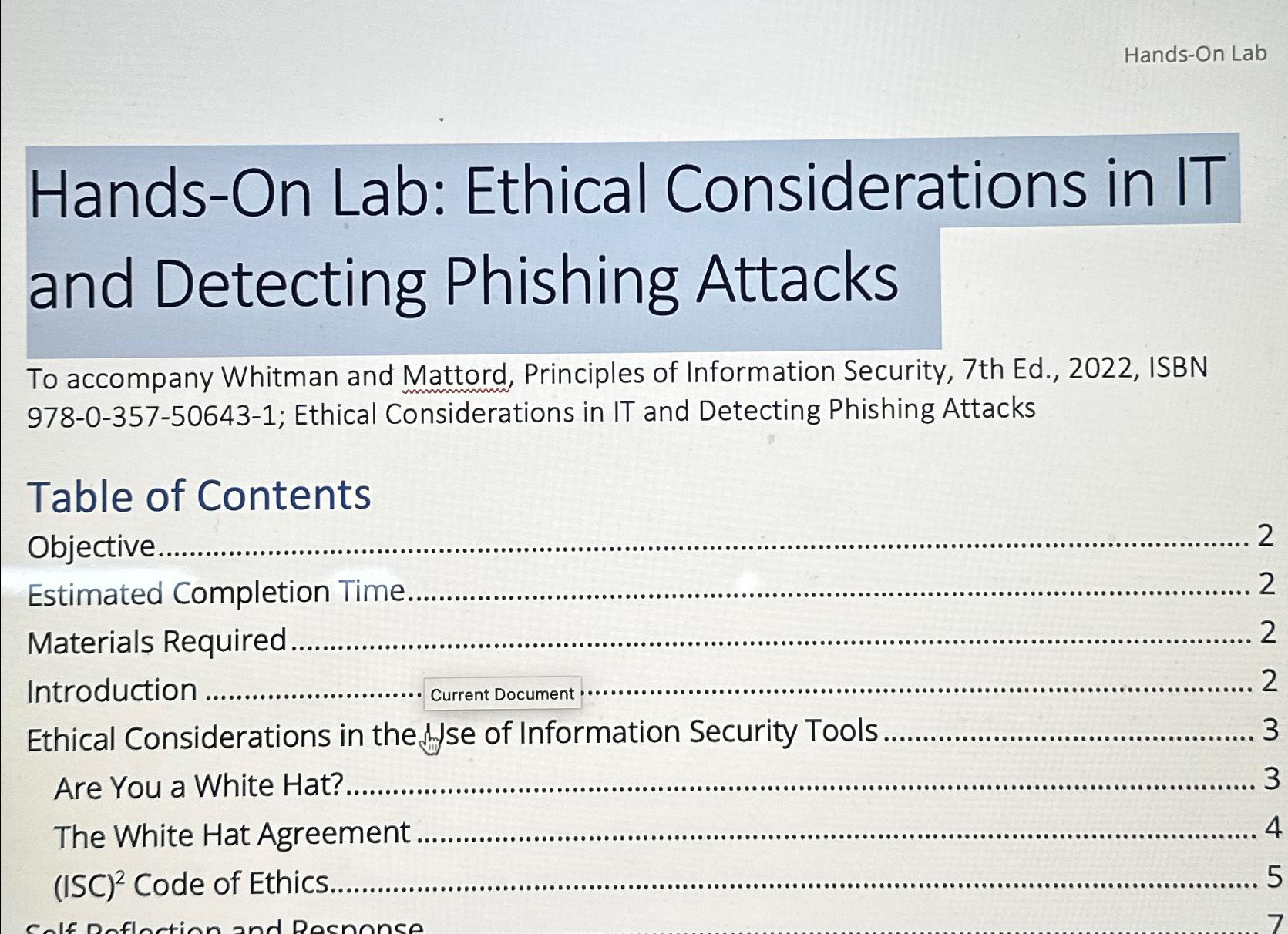 Solved Hands-On LabHands-On Lab: Ethical Considerations in | Chegg.com