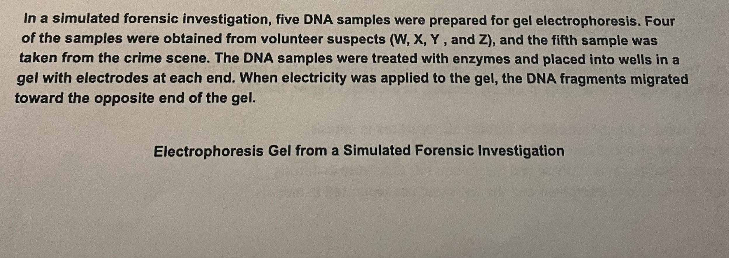 Solved In a simulated forensic investigation, five DNA | Chegg.com