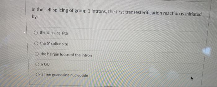 Solved In the self splicing of group 1 introns, the first | Chegg.com