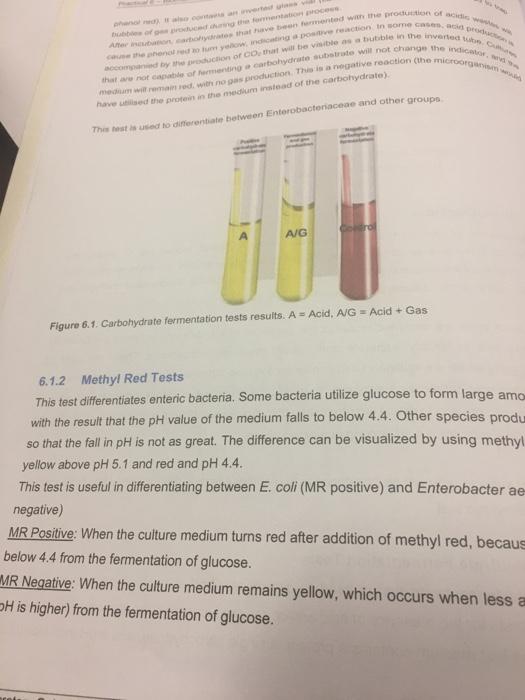 Solved or Methyl red test Bacterial species Colour of medium | Chegg.com