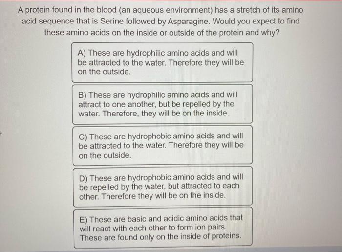 Solved A protein found in the blood (an aqueous environment) | Chegg.com