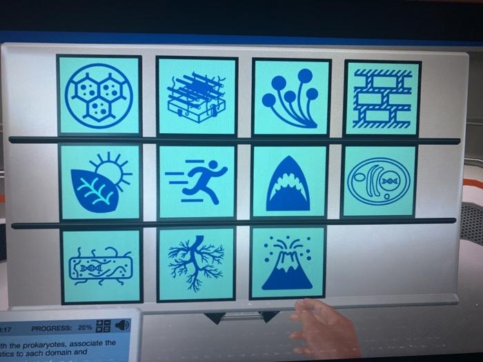 Solved First common ancestor ? Eukaryotes Prokaryotes ? | Chegg.com