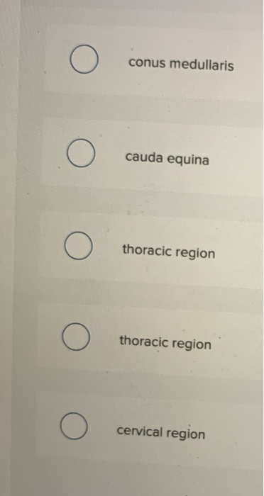 Solved Which structure is highlighted? o conus medullaris | Chegg.com