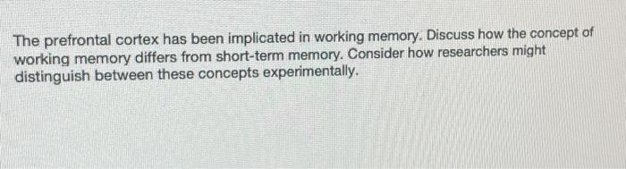 Solved The prefrontal cortex has been implicated in working | Chegg.com