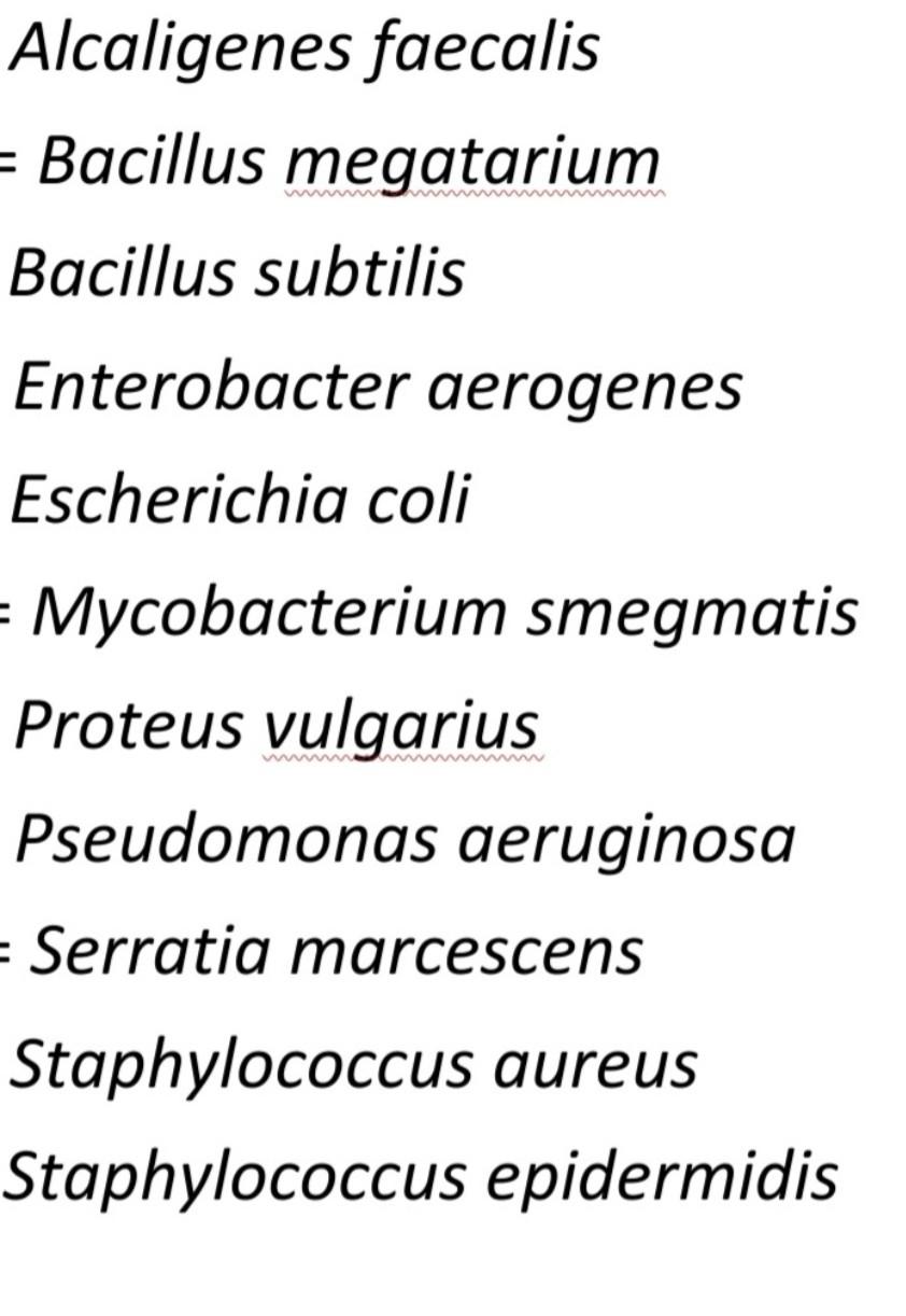 Solved Alcaligenes faecalis = Bacillus megatarium Bacillus | Chegg.com