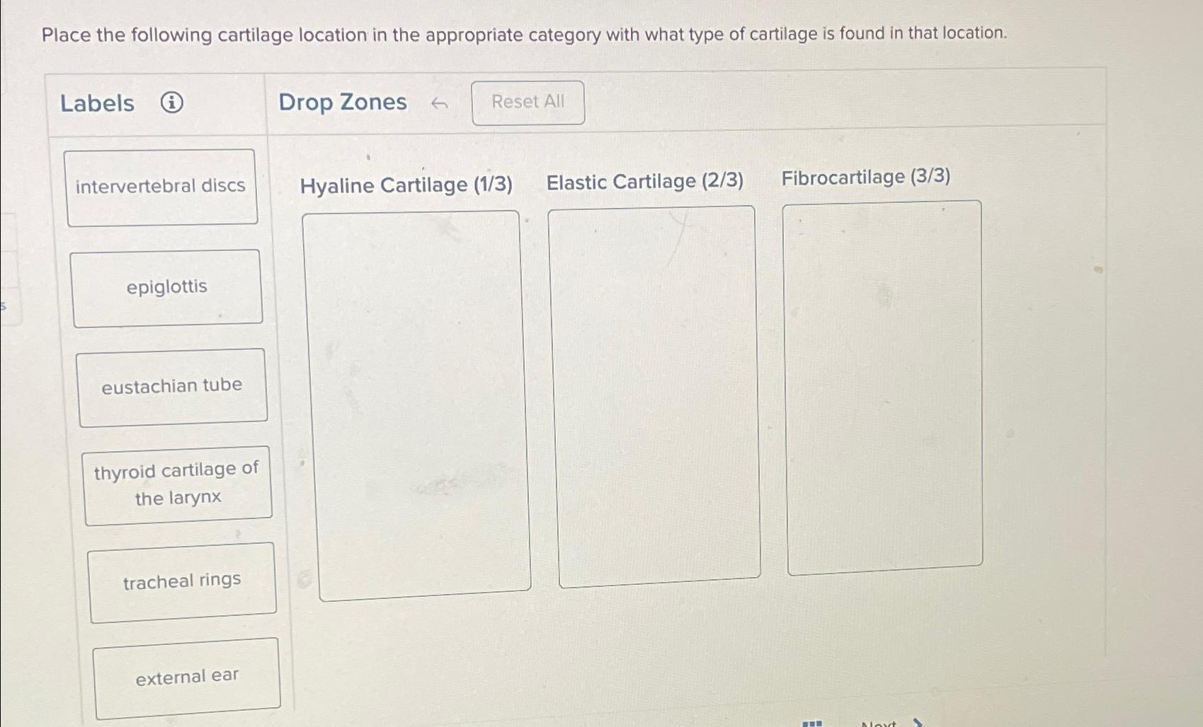 Solved Place the following cartilage location in the | Chegg.com