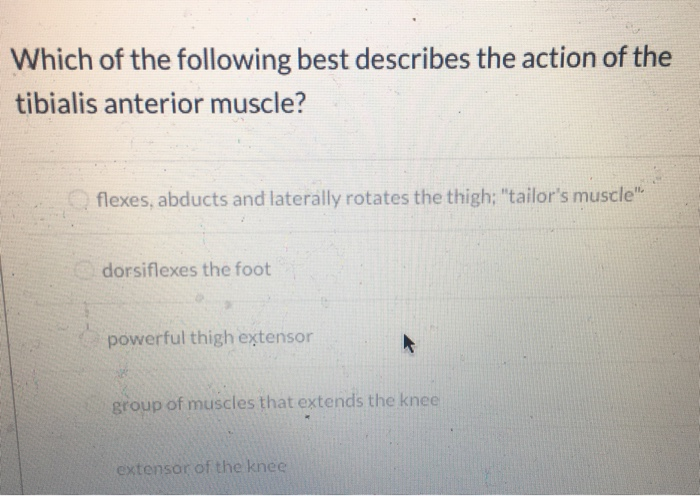 Solved This two-headed muscle bulges when the forearm is | Chegg.com