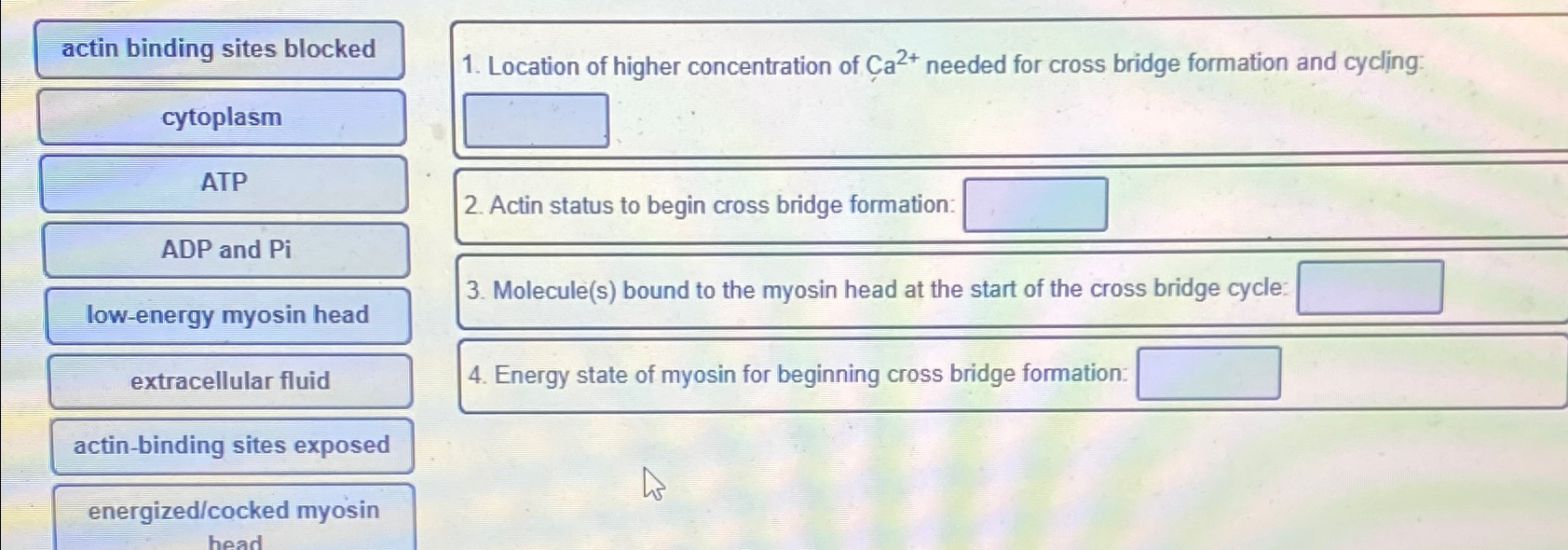 Solved actin binding sites blockedcytoplasmATPADP and | Chegg.com
