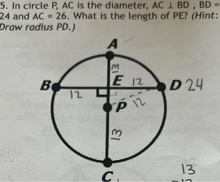 Solved 5. In circle P, AC is the diameter, AC 1 BD, BD 24 | Chegg.com
