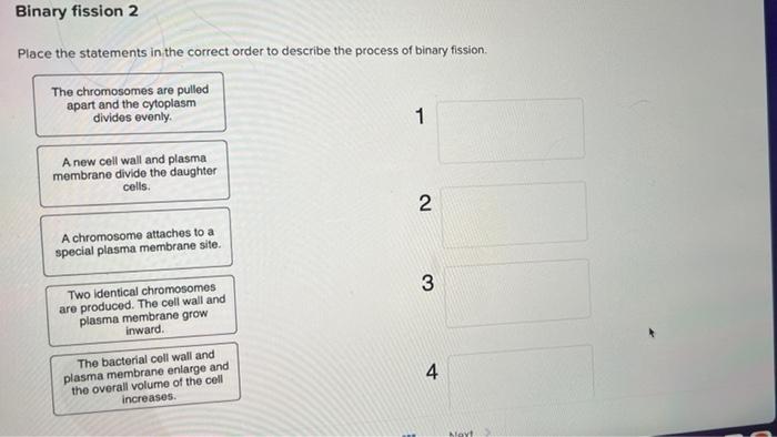 Solved Binary fission 2 Place the statements in the correct | Chegg.com