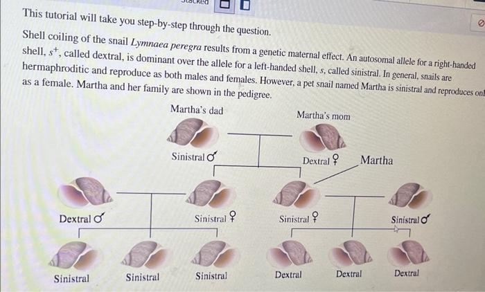 Solved This tutorial will take you step-by-step through the | Chegg.com