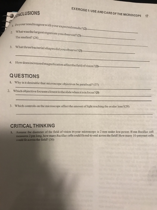 Value of each question in this lab exercise is | Chegg.com