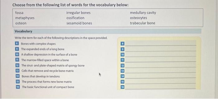 Solved Choose from the following list of words for the | Chegg.com