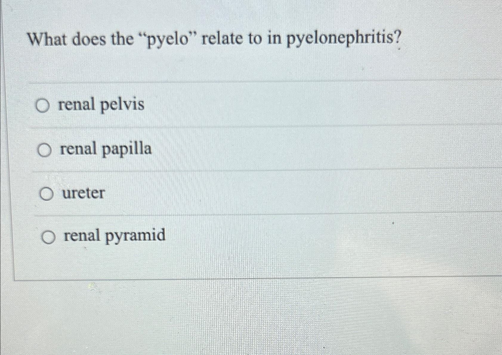 Solved What does the "pyelo" relate to in | Chegg.com