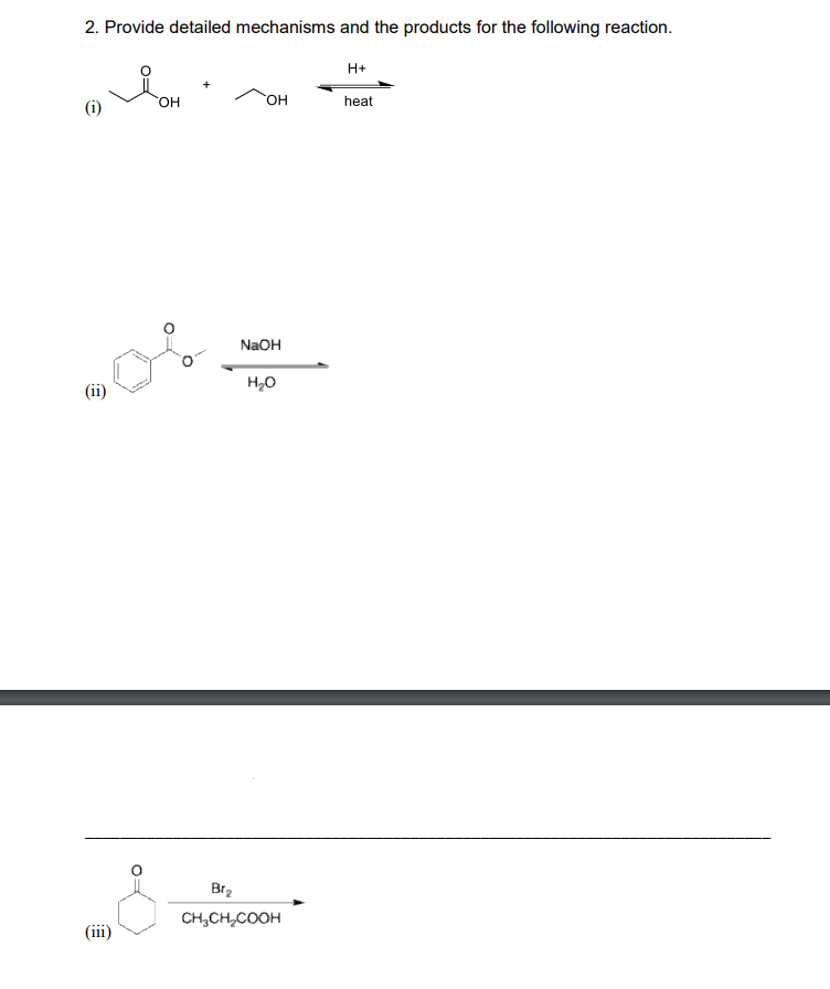 Solved Provide detailed mechanisms and the products for the | Chegg.com