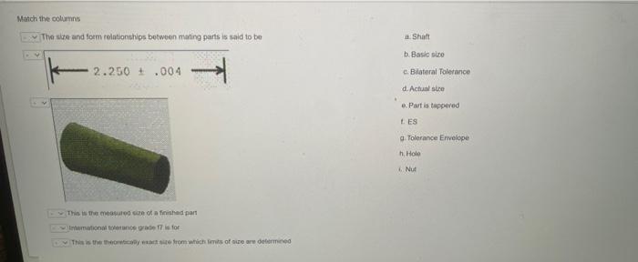 Solved Match the columns The site and form relationships | Chegg.com
