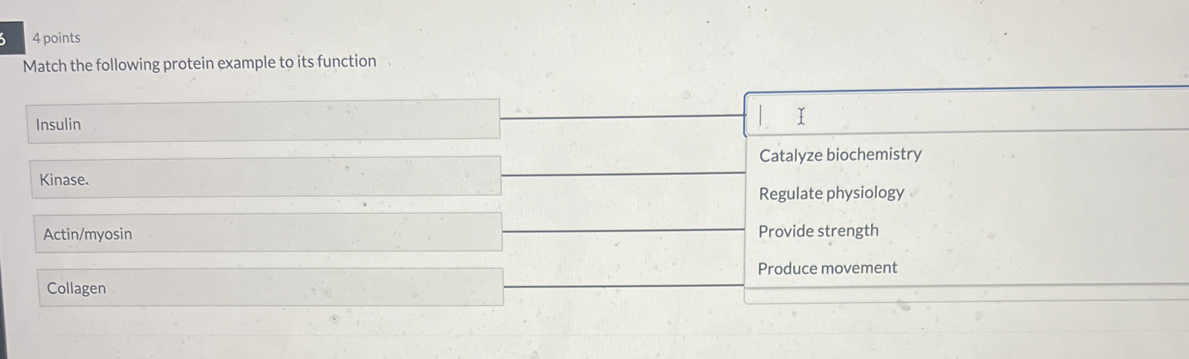 Solved 4 ﻿pointsMatch the following protein example to its | Chegg.com