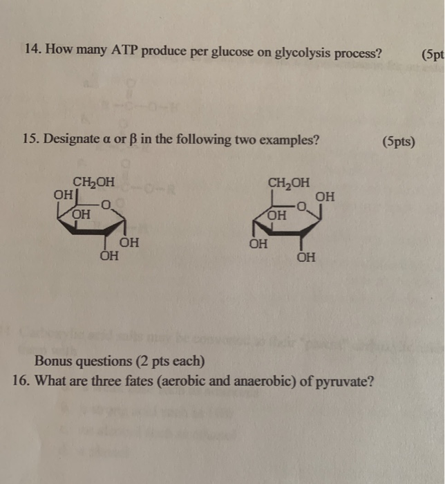 Solved 14. How many ATP produce per glucose on glycolysis | Chegg.com
