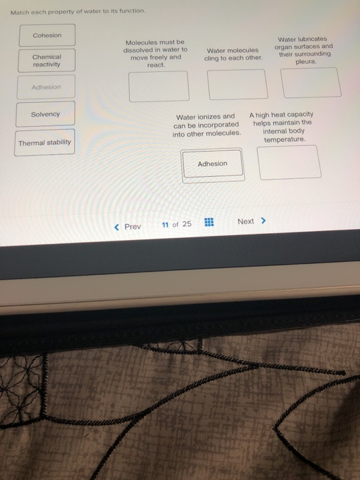 Solved Match each property of water to its function Cohesion | Chegg.com
