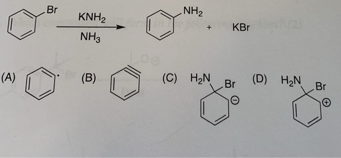 Solved NH2 KNH2 KBr NH3 "g • • • C) По H₂W | Chegg.com