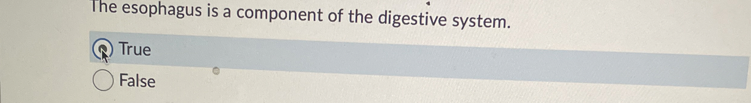 Solved The esophagus is a component of the digestive | Chegg.com