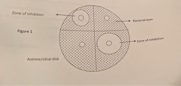 Solved to the antibiotic, if no If a "zone of inhibition | Chegg.com