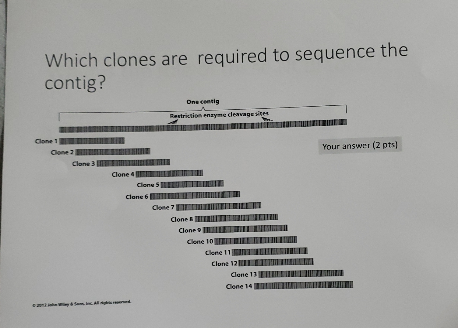 Solved Which clones are required to sequence the contig?One | Chegg.com