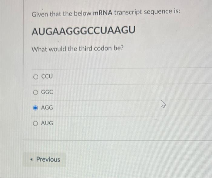 Solved Given that the below mRNA transcript sequence is: | Chegg.com