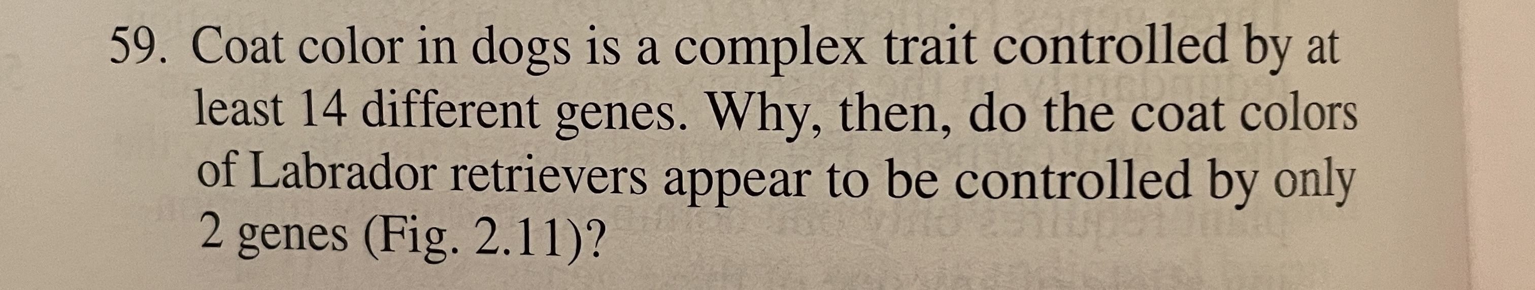 Solved Coat color in dogs is a complex trait controlled by | Chegg.com