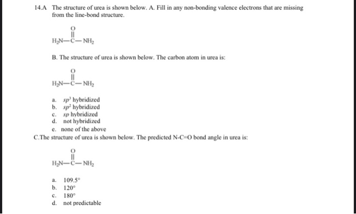 Solved 14.A The structure of urea is shown below. A. Fill in | Chegg.com