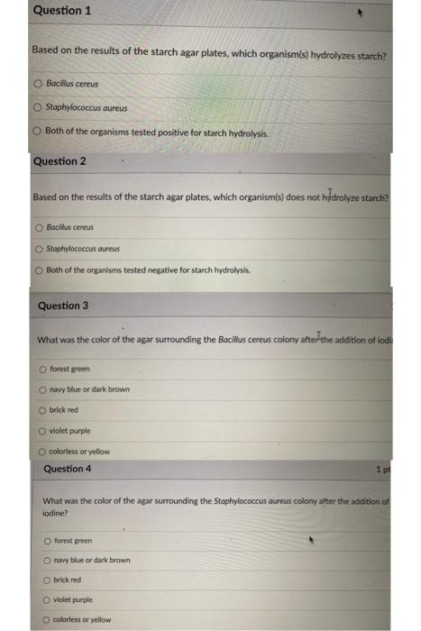 Solved Question 1 Based on the results of the starch agar | Chegg.com