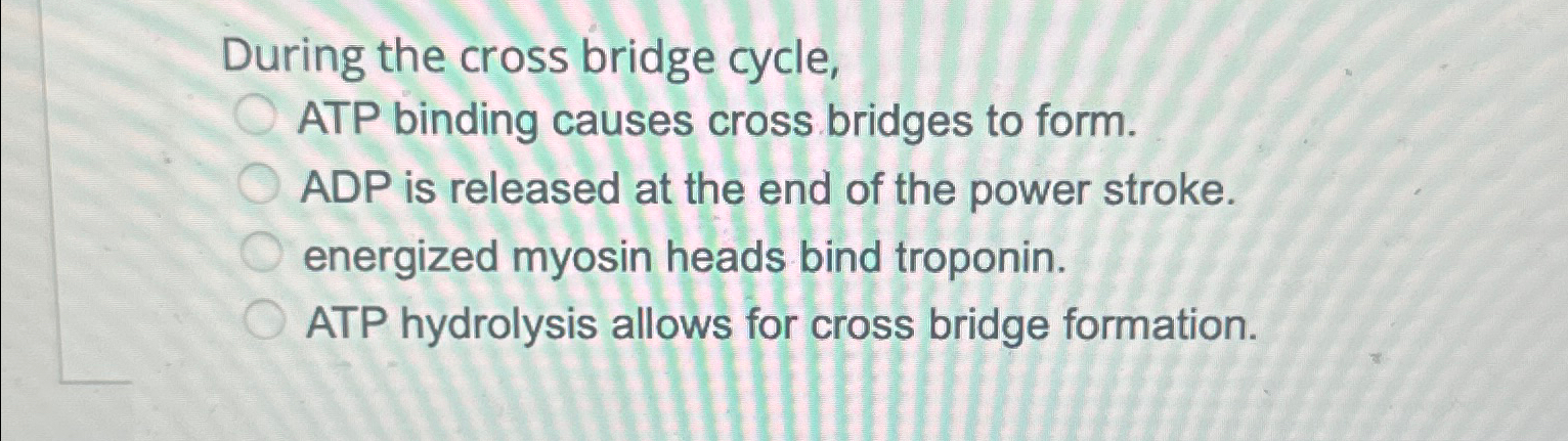 Solved During the cross bridge cycle, ATP binding causes | Chegg.com