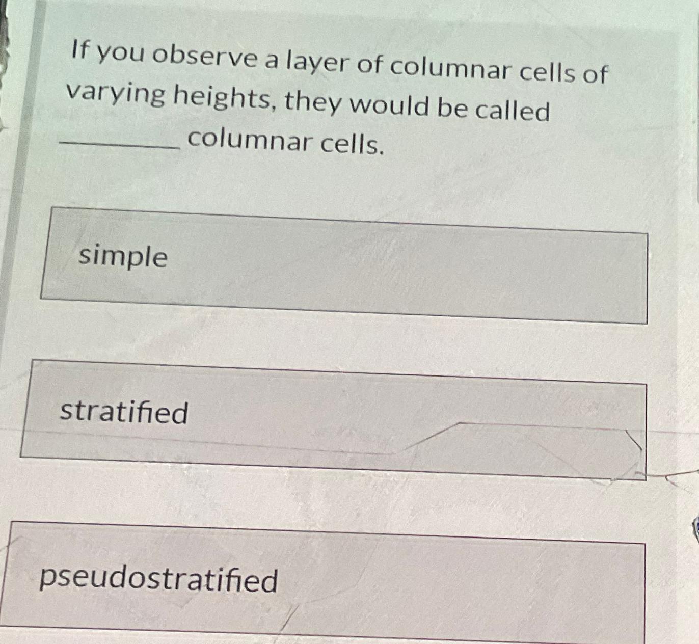 Solved If you observe a layer of columnar cells of varying | Chegg.com