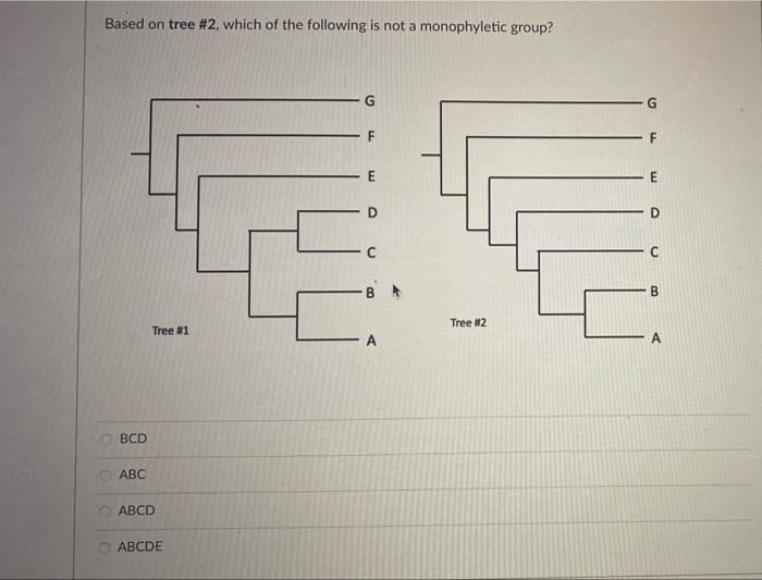 Solved Use the character/taxon matrix below to answer the | Chegg.com