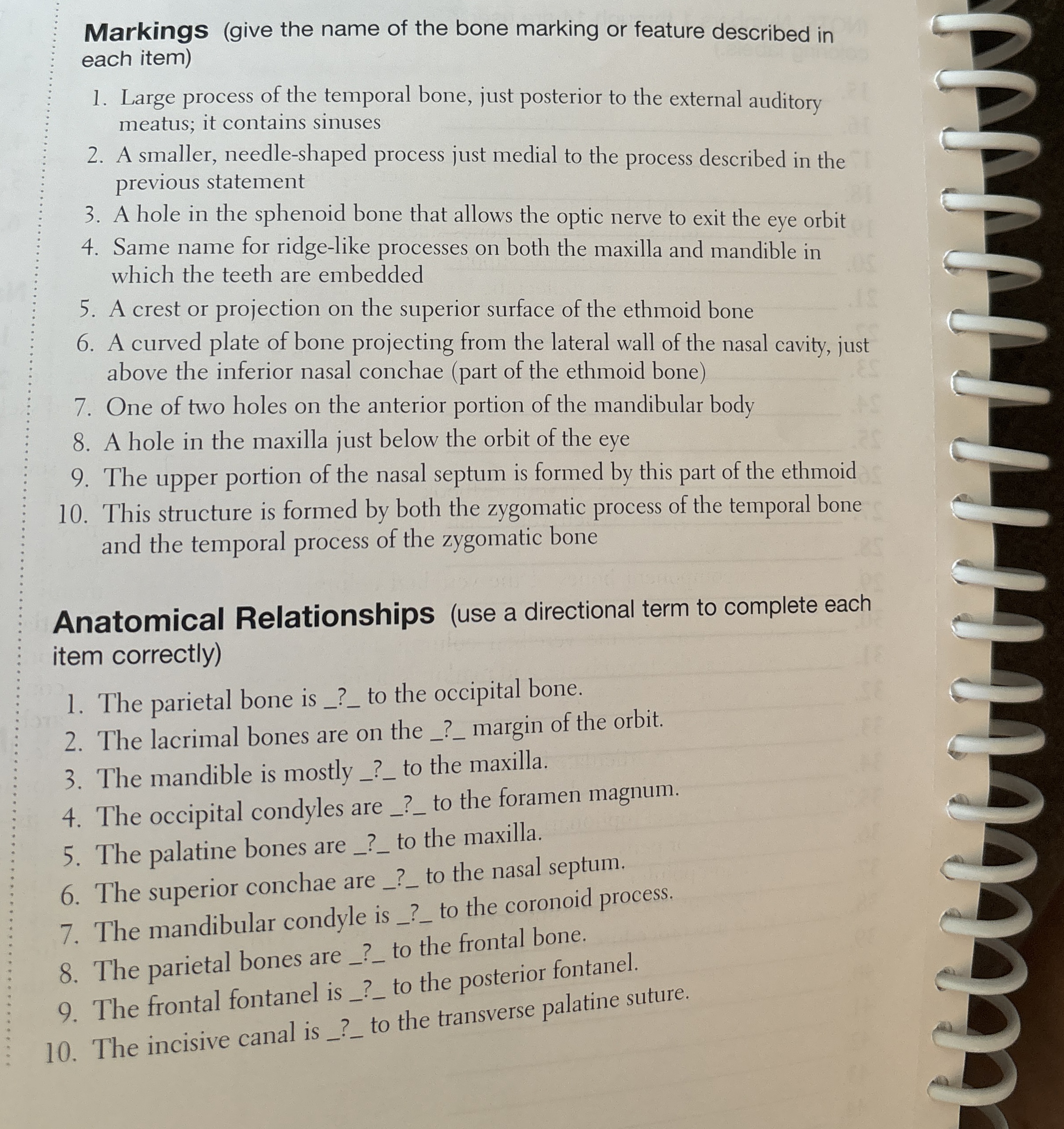 Solved Markings (give the name of the bone marking or | Chegg.com