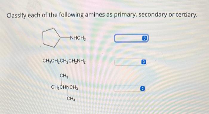 Solved Classify each of the following amines as primary, | Chegg.com