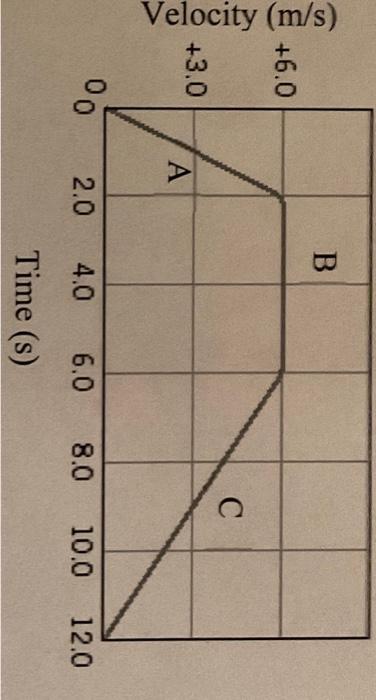 Solved A dog chases a squrriel. The graph for velocity vs | Chegg.com