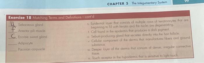 Solved Exercise 18 Matching Terms and Definitions Match the | Chegg.com